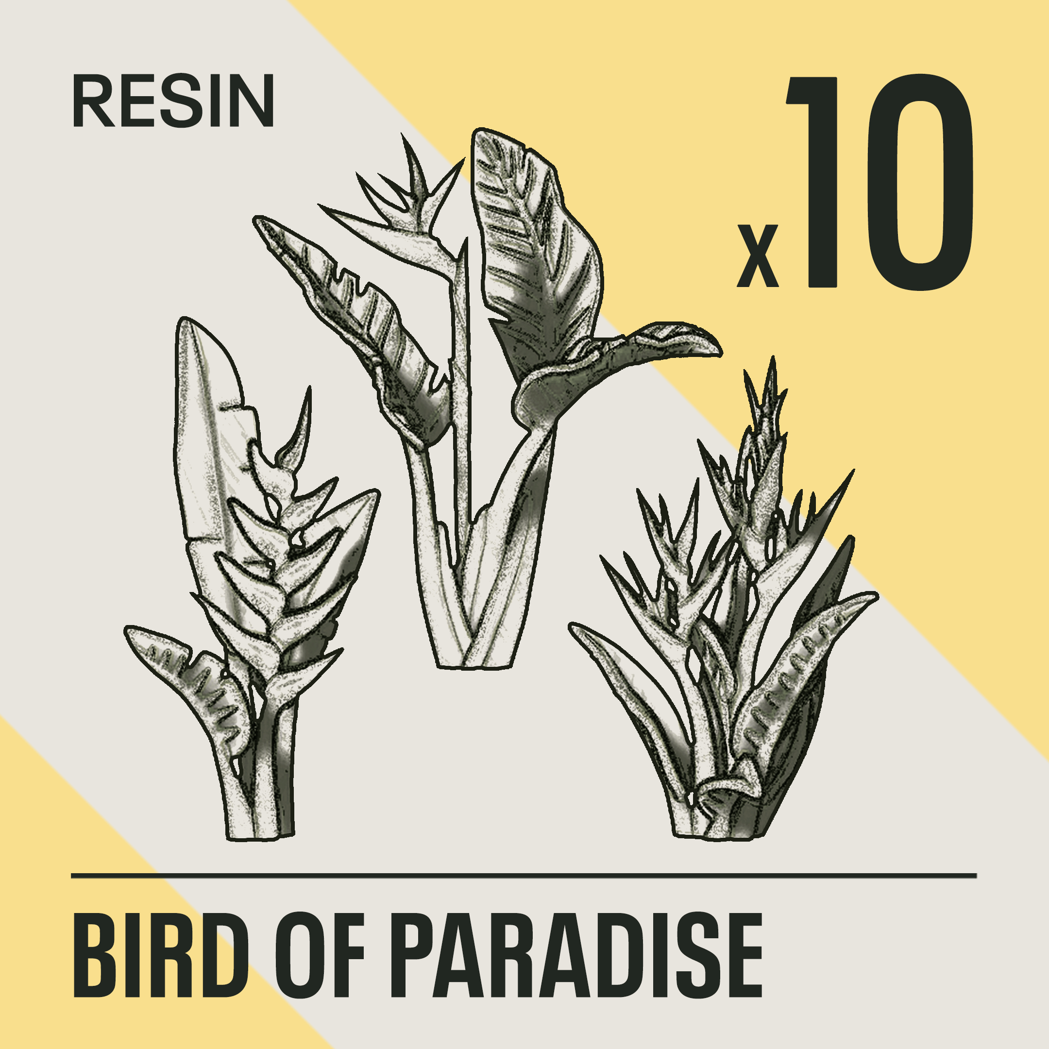 BIRD OF PARADISE - Resin Basing Bits – Epic Basing