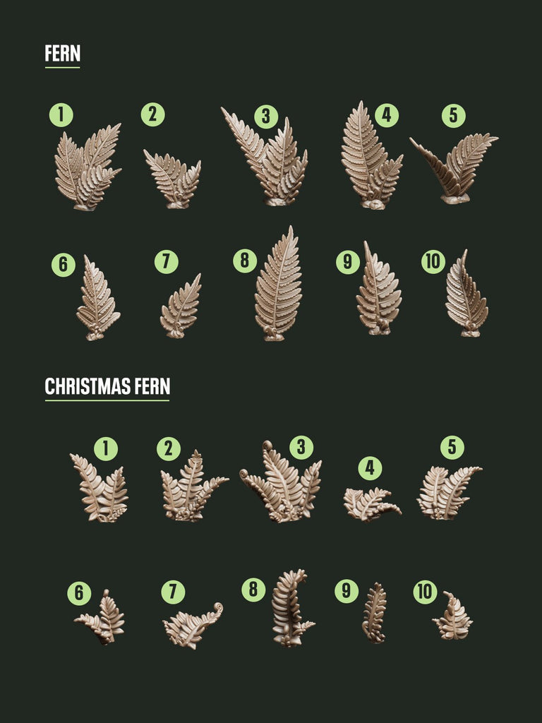 Digital Download - Fern Plants STL – Epic Basing