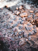 Epic Basing | 3D Printed Miniature Basing & Terrain