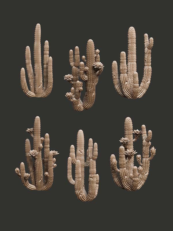 Organ Pipe Cactus - Digital STL Pack – Epic Basing